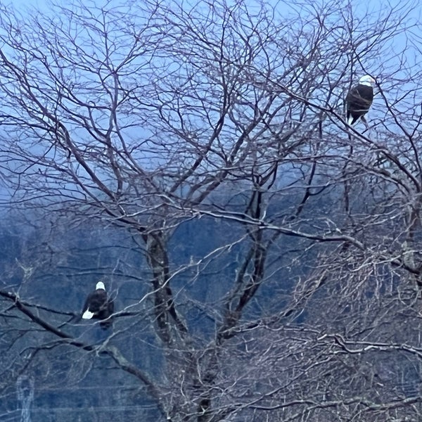 Sudden Valley Marina - Bellingham, WA