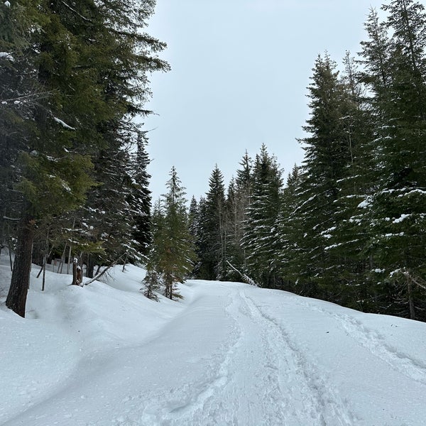 Hyak - 26 Cascade Place