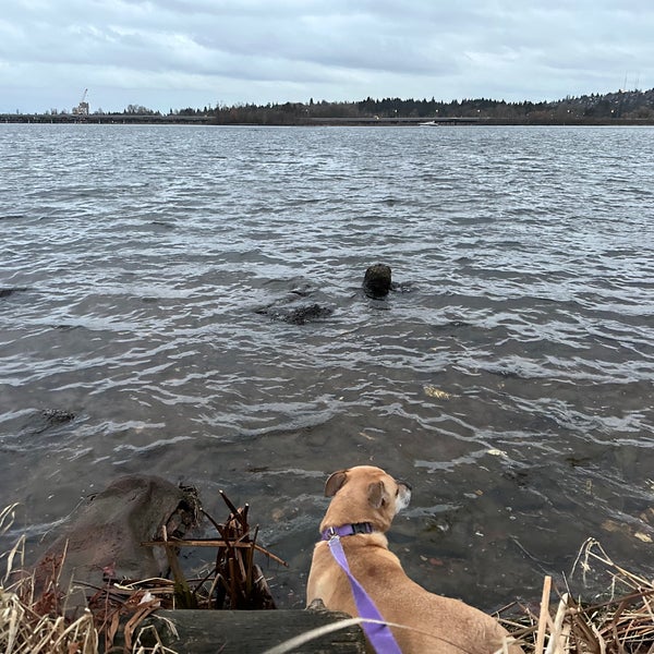 Union Bay Natural Area - University District - 5 tips