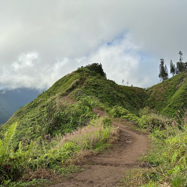 Waihe'e Ridge Trail - 11 tips from 764 visitors