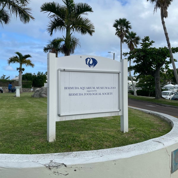 Bermuda Aquarium, Museum and Zoo - Zoo