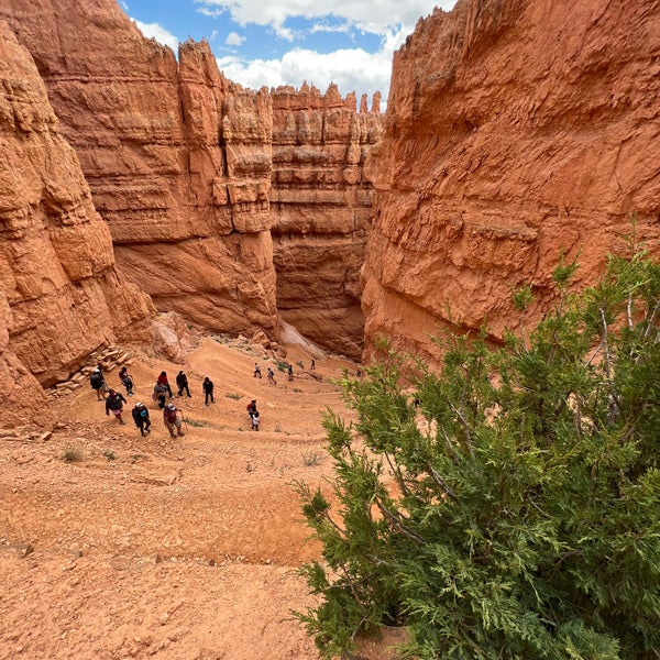 Navajo Loop Trail - 5 tips