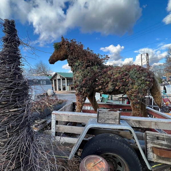 Old Luckett's Store - 42350 Lucketts Rd