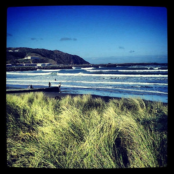 Photos at Lyall Bay Beach - Lyall Bay - 10 tips
