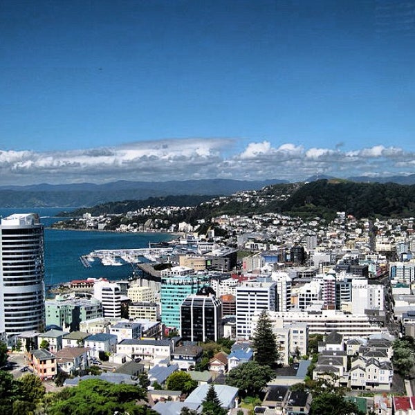 Wellington - 11 tips