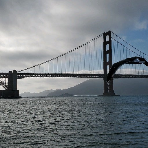 Photos at Torpedo Wharf - San Francisco, CA