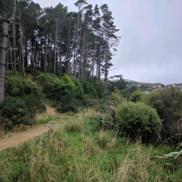 Karori Park - 3 tips