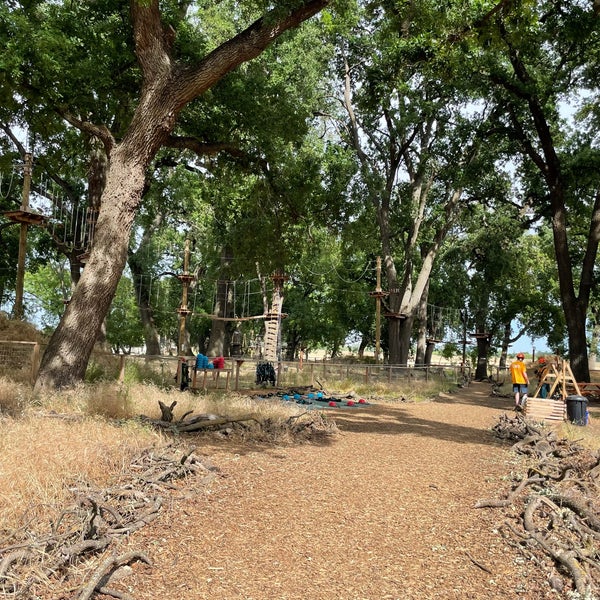 Tree Top Sac - Amusement Park in West Sacramento