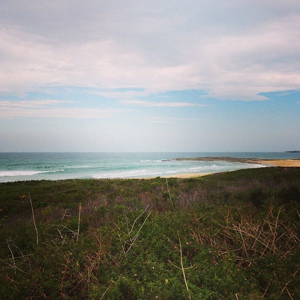 Woonona Beach - 3 tips from 151 visitors