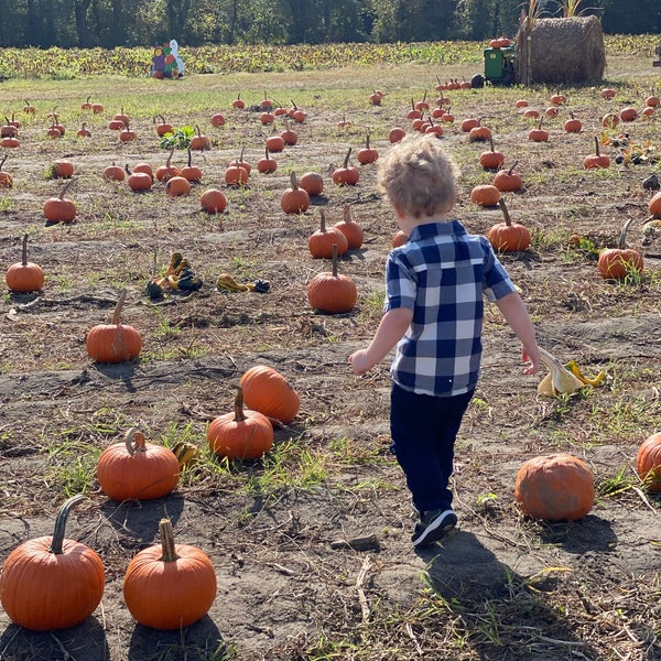 Indian Acres Tree Farm - Medford, NJ