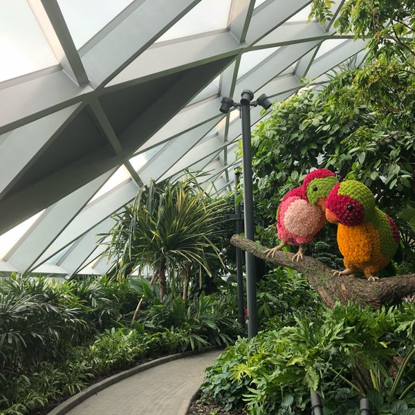 Topiary Walk - Changi - Canopy Park