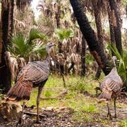 Hilochee Wildlife Management - Hiking Trail