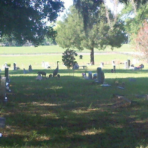 Pine Level Cemetery - Cemetery