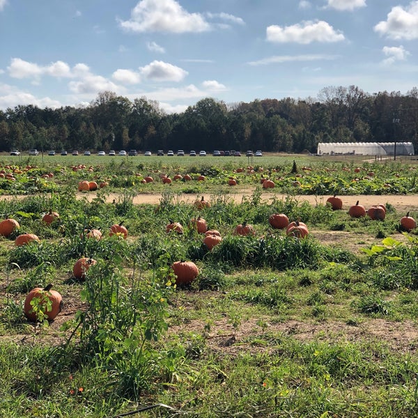 Washington Farms - Farm