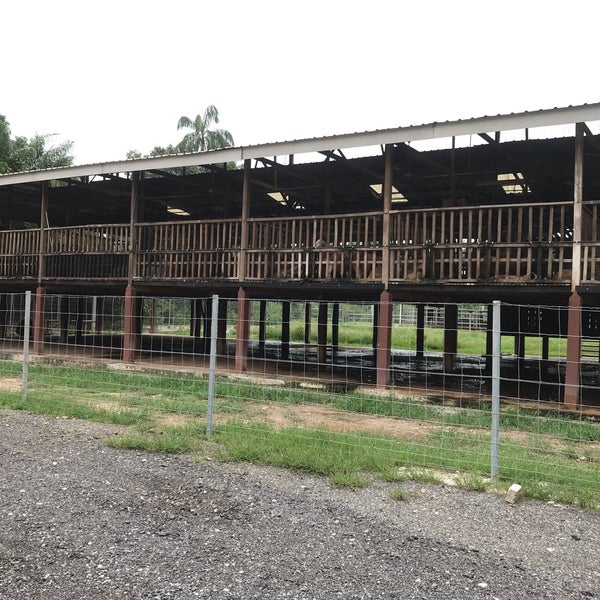Colla Cattle Farm Kuala Selangor - Kuala Selangor, Selangor