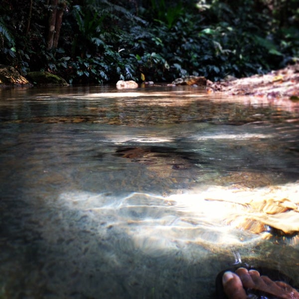 Aripo River
