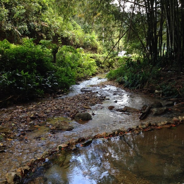 Aripo River