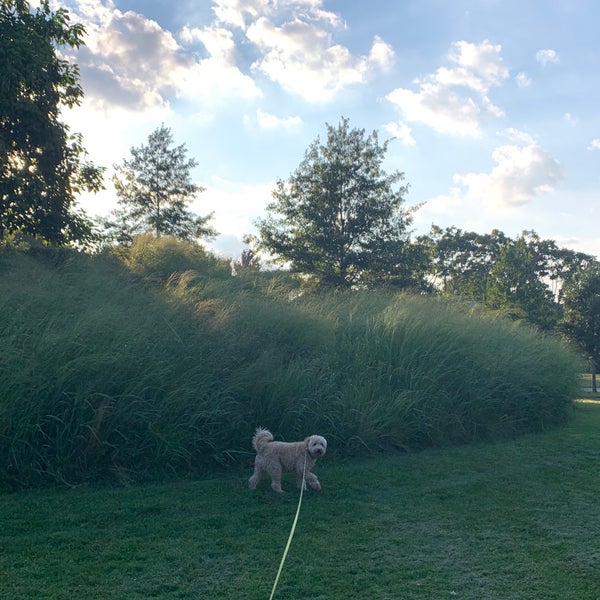 Boston Public Library: Honan-Allston Branch - North Allston - 7 tips ...