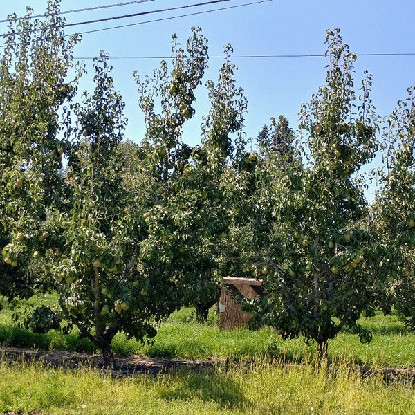 Peshastin, WA - City