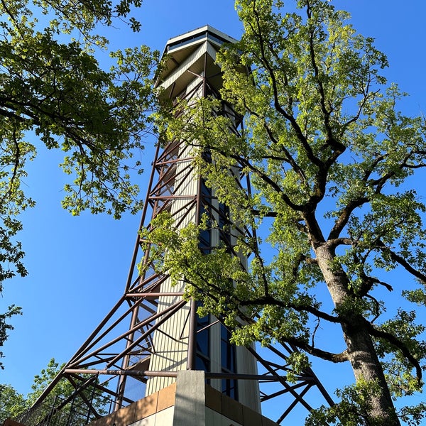 Hot Springs Mountain Tower - Hot Springs, AR