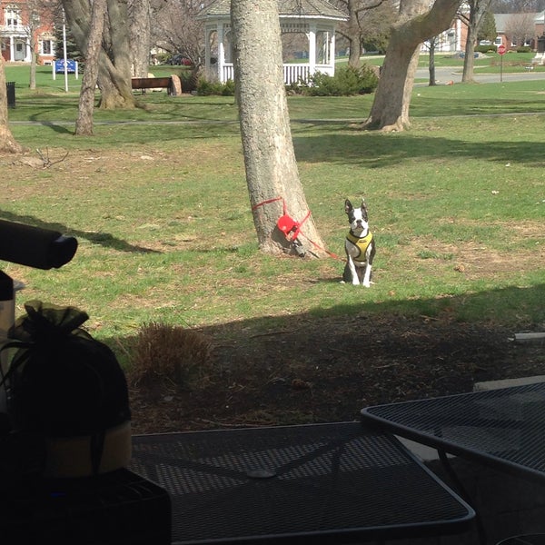 Ocean House Surf Shop - Sporting Goods Retail