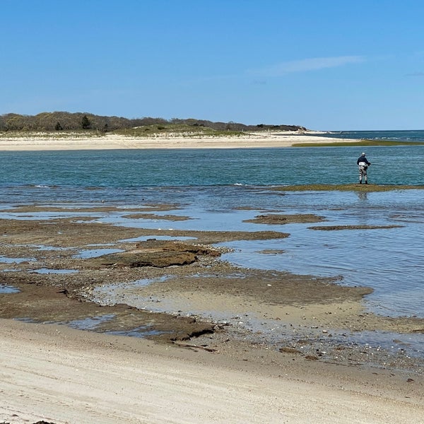 Cape Cod Museum Of Natural History - 7 tips from 462 visitors