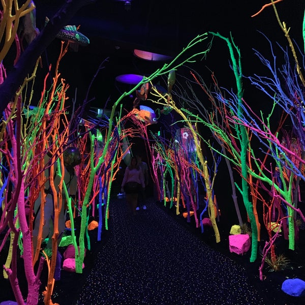 Meow Wolf - 62 tips from 3582 visitors