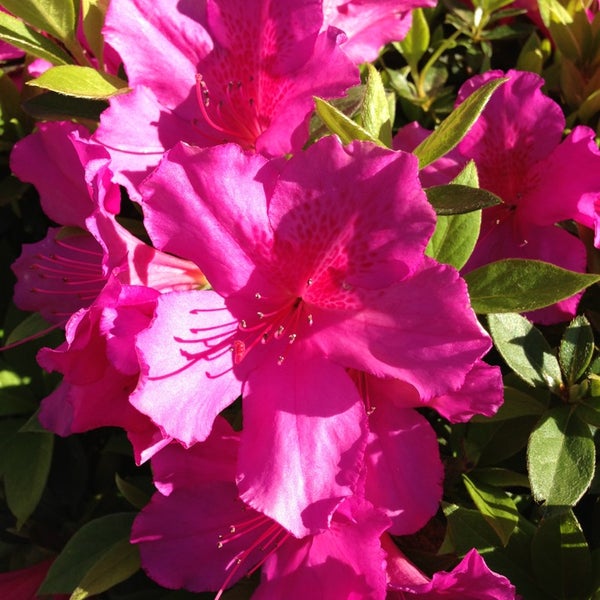Alexander-Dunn Building - College Administrative Building in Durham