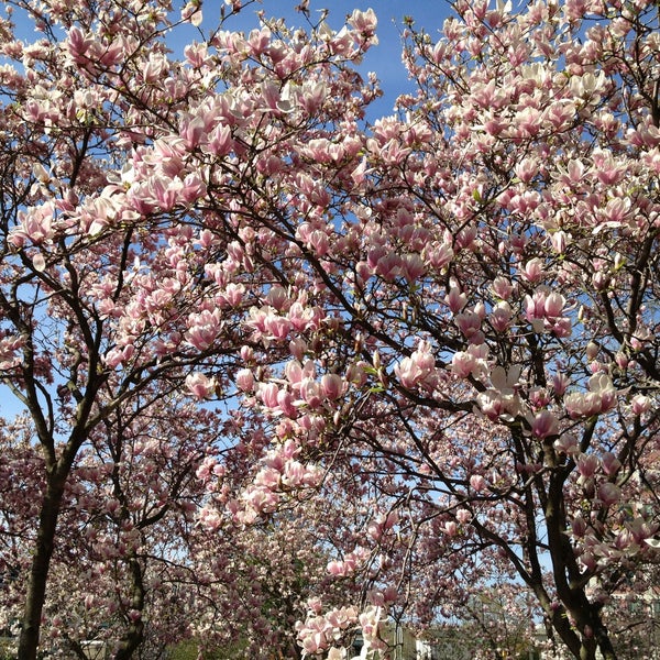 Schuylkill River Trail - Hiking Trail