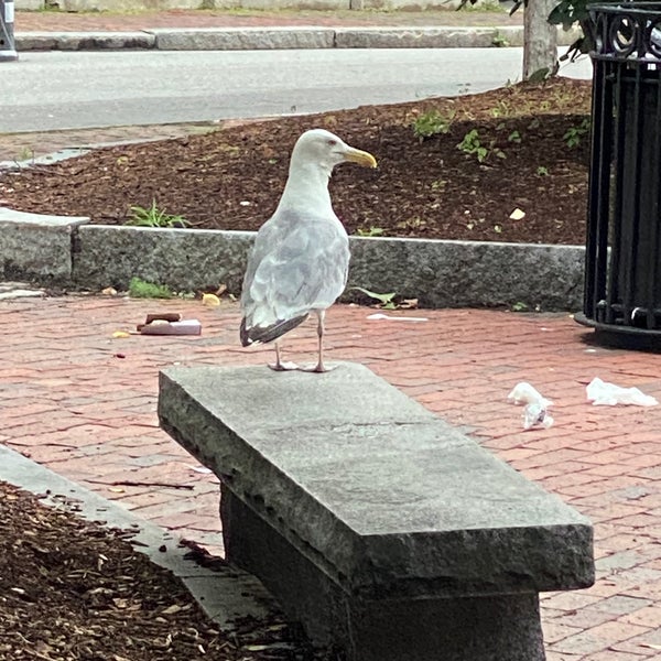 Post Office Park - Downtown Portland - ME, ME