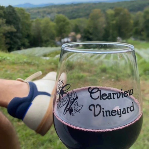 Clearview Vineyard - 6 tips from 263 visitors
