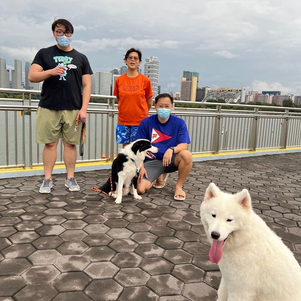 100Plus Promenade - Track