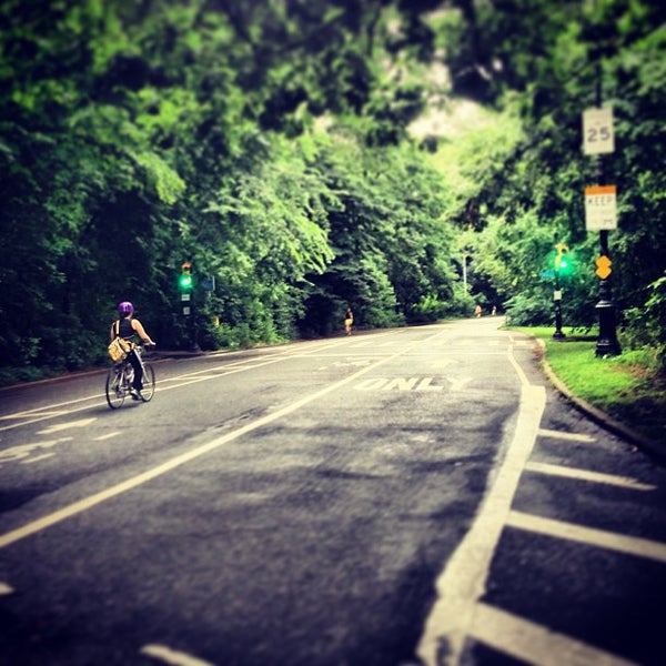 Prospect Park Loop - Track in Prospect Park