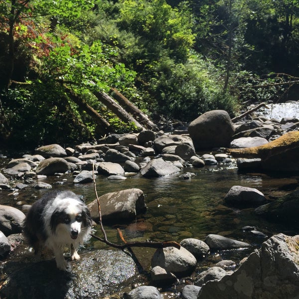 Oneonta Gorge (Now Closed) - Other Great Outdoors in Portland