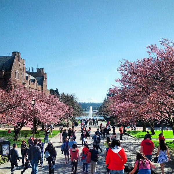 UW: Drumheller Fountain - University District - 11 tips from 1317 visitors