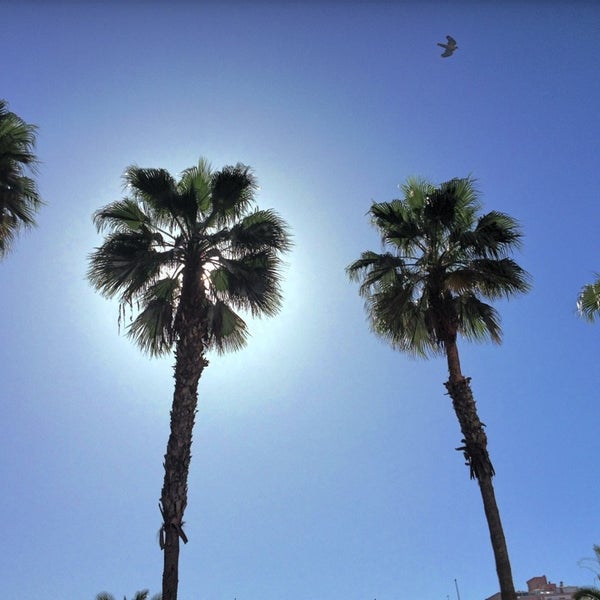 Parque Madera Y Corcho