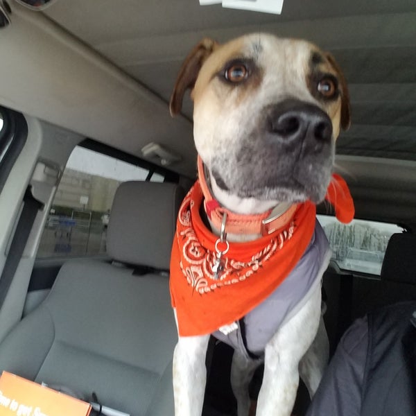 PetSmart - 7 tips from 727 visitors