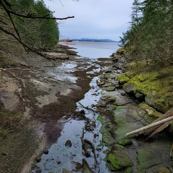 Cable Bay Trail - Nanaimo, BC