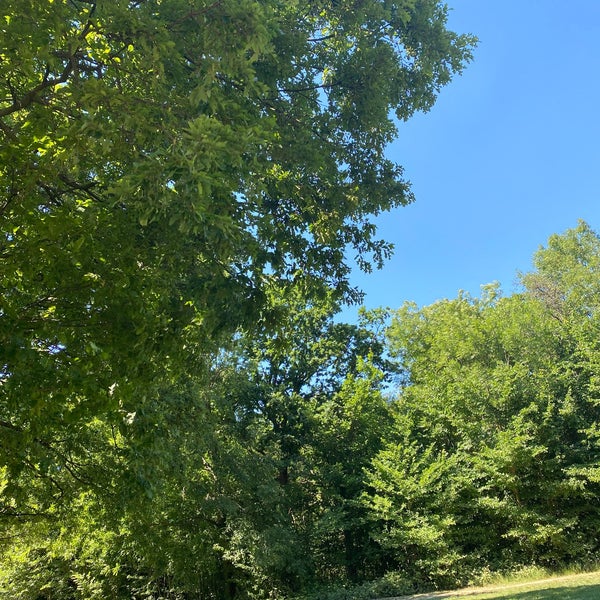 Tooting Bec Common - Park in London