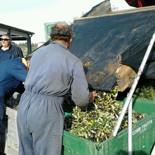 Azienda Del Carmine - Farm in Ancona