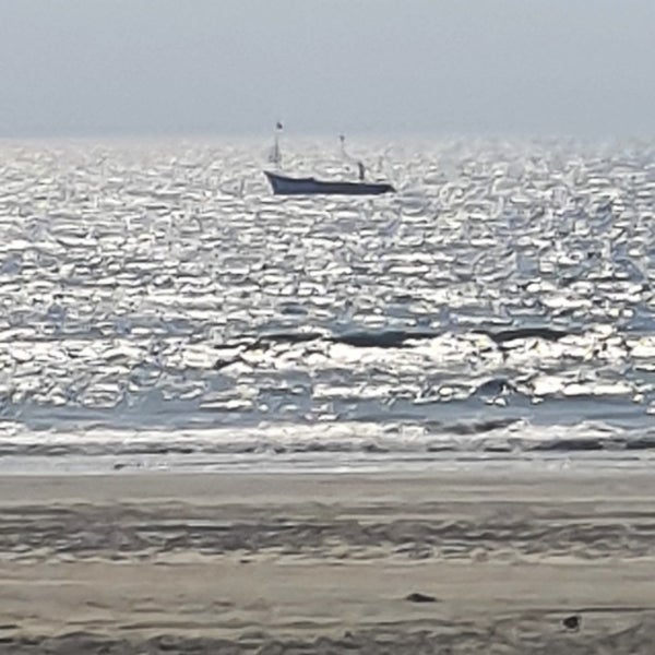 Colva Beach - Beach