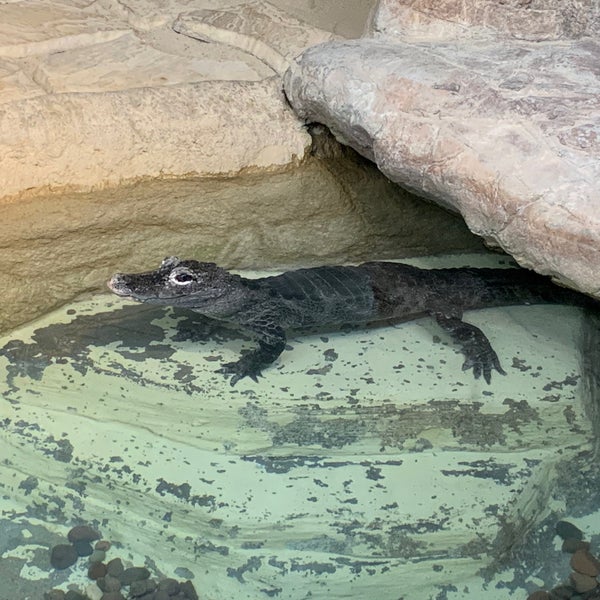 Milwaukee County Zoo - Zoo - 113 tips