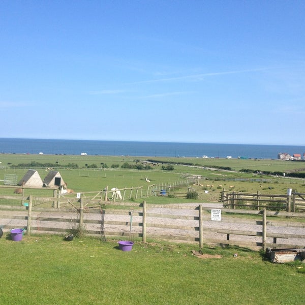 Bodafon Farm Park - Farm in Llandudno