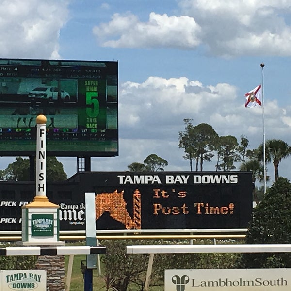 Photos at Tampa Bay Downs - Race Track