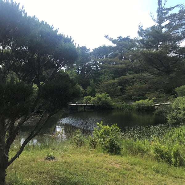 Mytoi Gardens - 5 tips