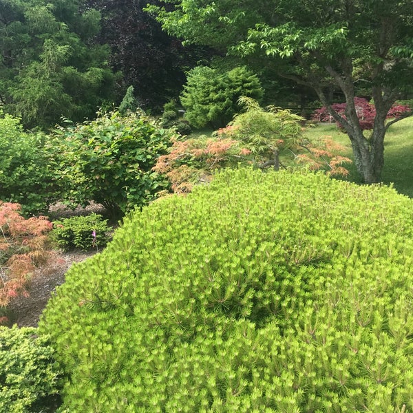 Mytoi Gardens - 5 tips