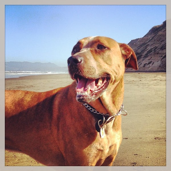 Photos at Fort Funston - Park in Lakeshore