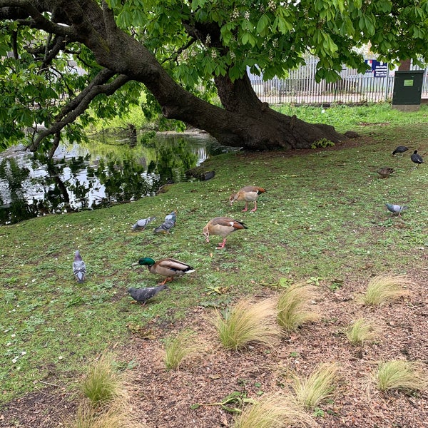 Waddon Ponds - Waddon - 2 tips from 91 visitors