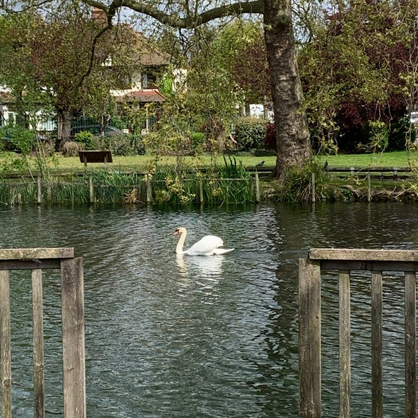 Waddon Ponds - Waddon - 2 tips from 91 visitors
