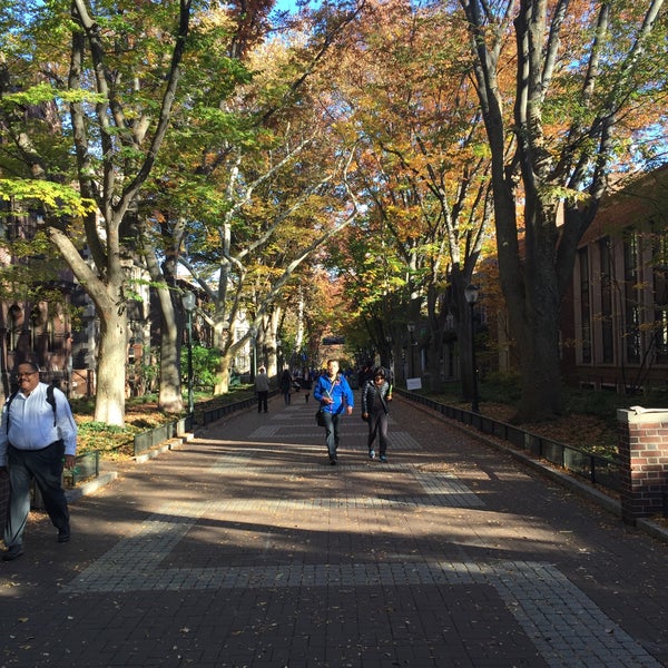 Upenn Campus Locust Walk